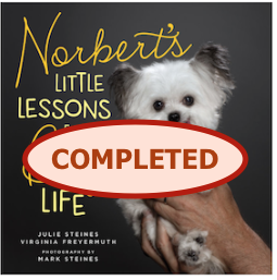 ‘Norbert’s Little Lessons for a Big Life’ book GIVEAWAY | Family Choice ...