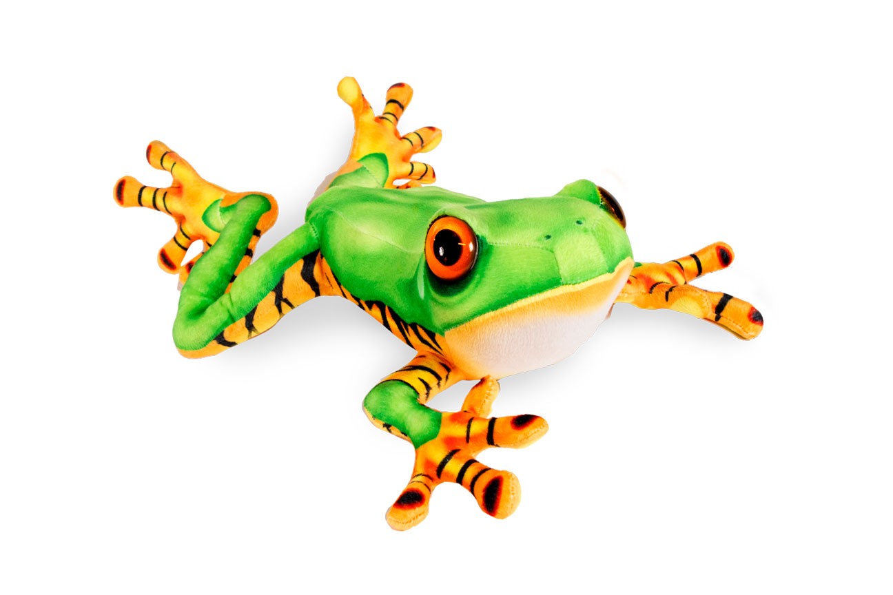 Real Planet – Tree Frog | Family Choice Awards